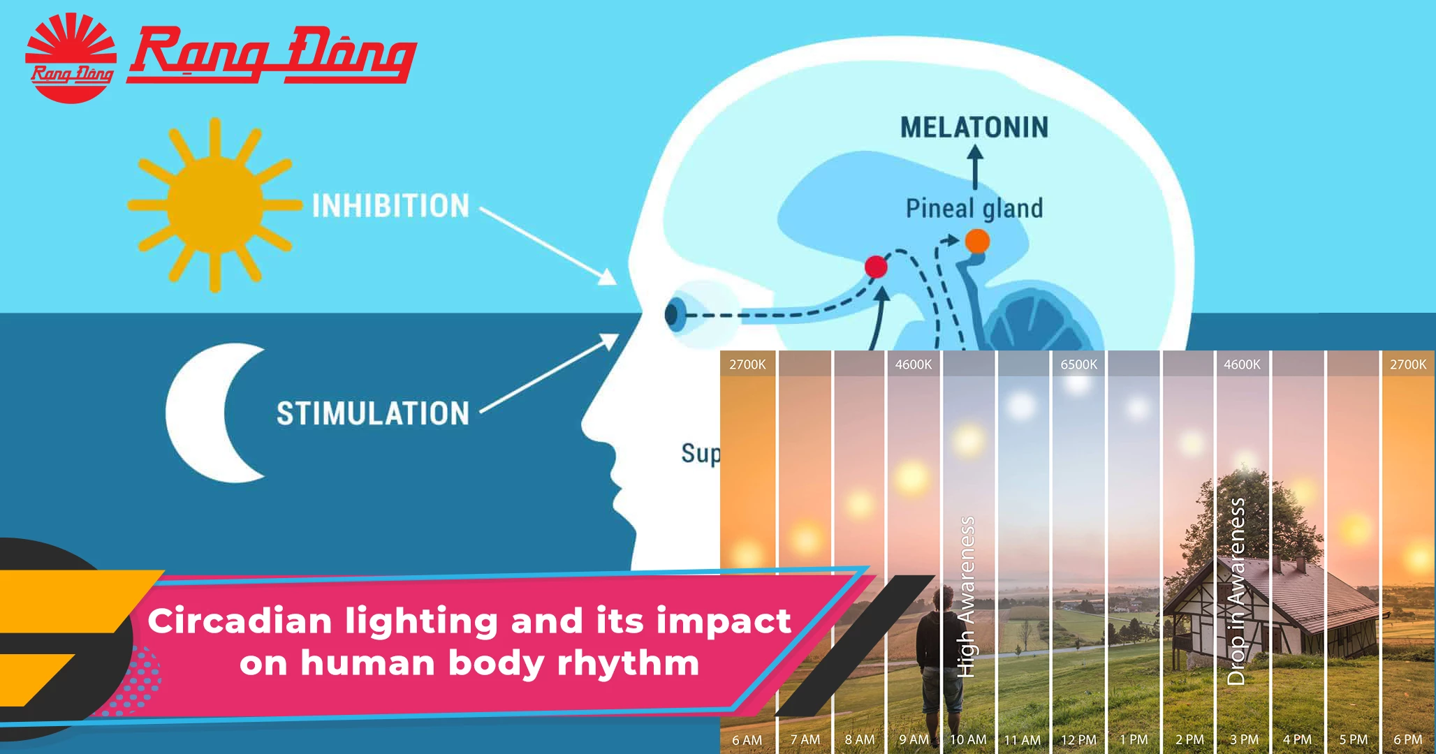 CIRCADIAN LIGHTING AND ITS IMPACT ON HUMAN BODY RHYTHM
